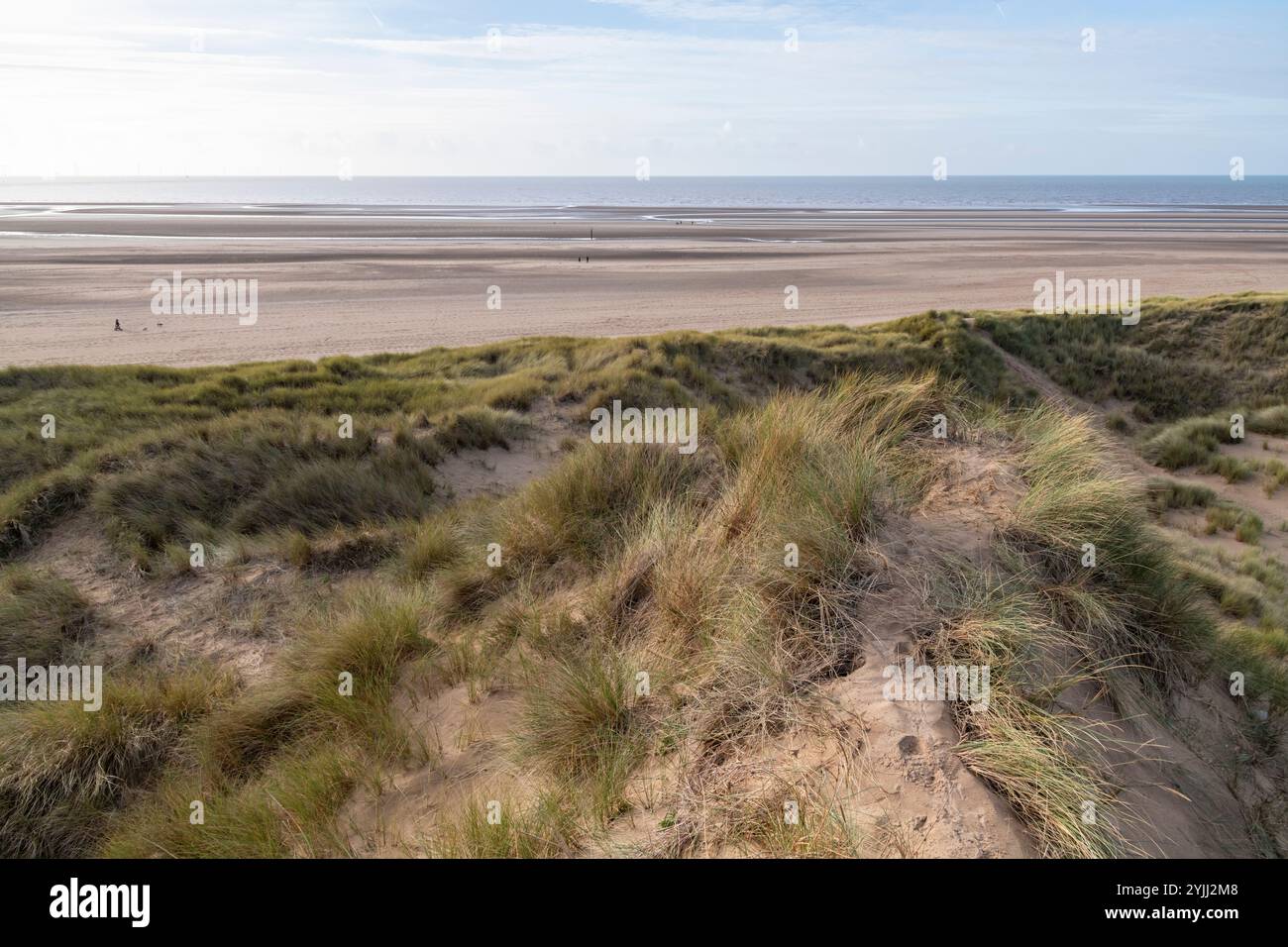 Sand dunes at Formby on the coats of Merseyside in Northwest England ...