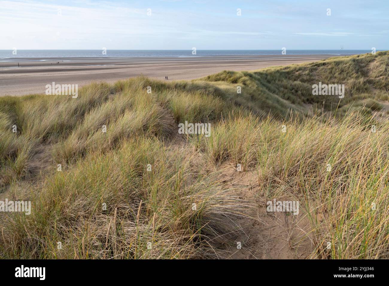 Sand dunes at Formby on the coats of Merseyside in Northwest England ...
