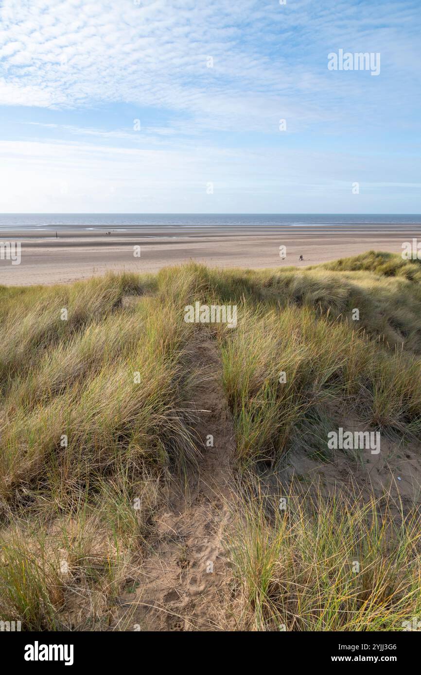 Sand dunes at Formby on the coats of Merseyside in Northwest England ...