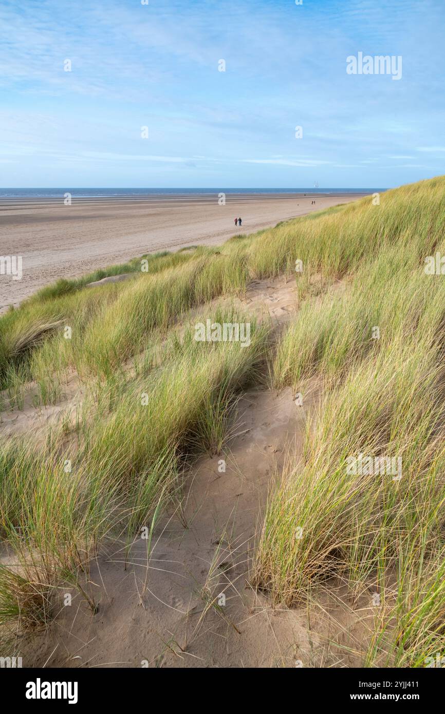 Sand dunes at Formby on the coats of Merseyside in Northwest England ...
