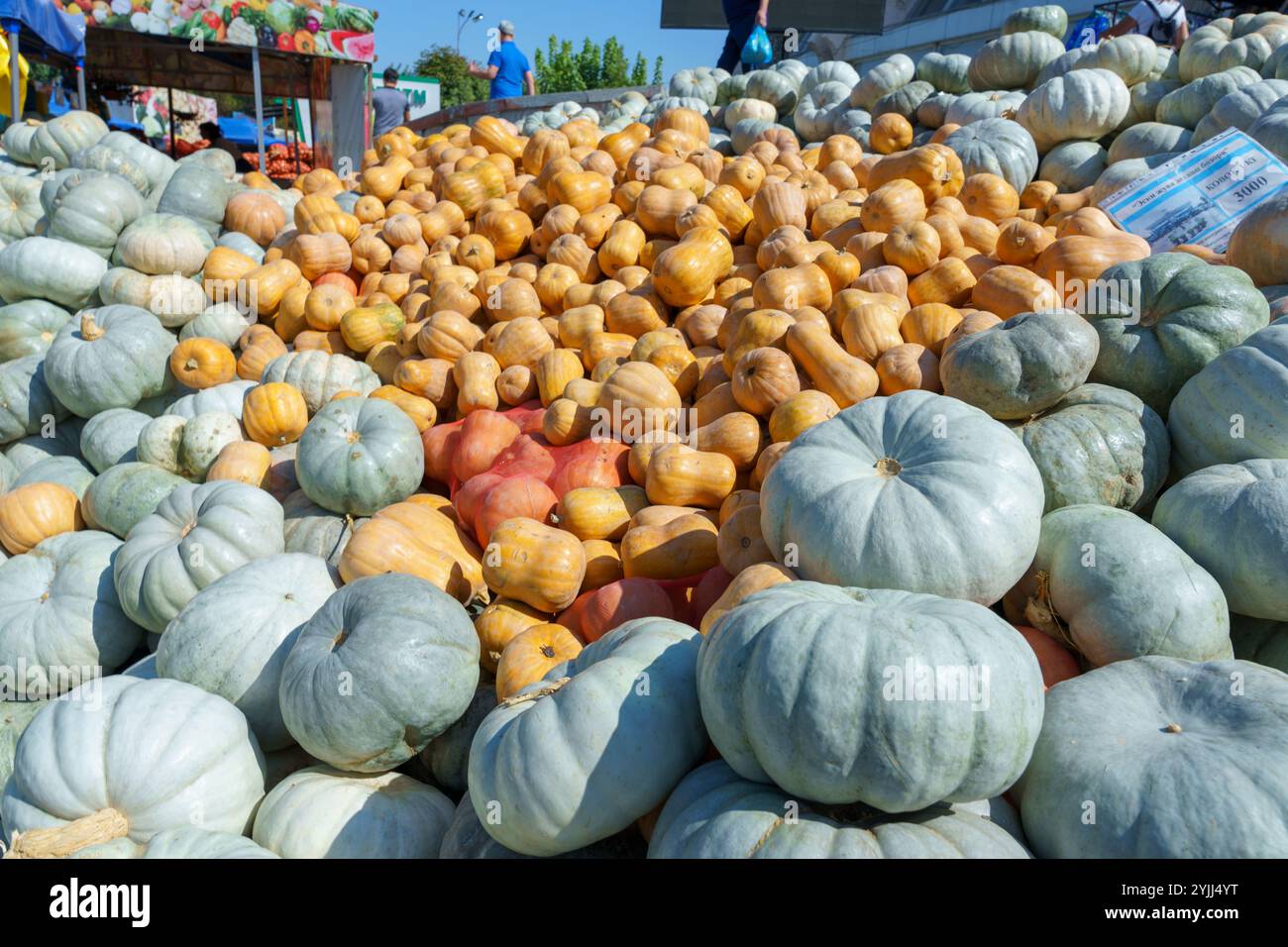 Autumn background pumpkins apples hi-res stock photography and images ...