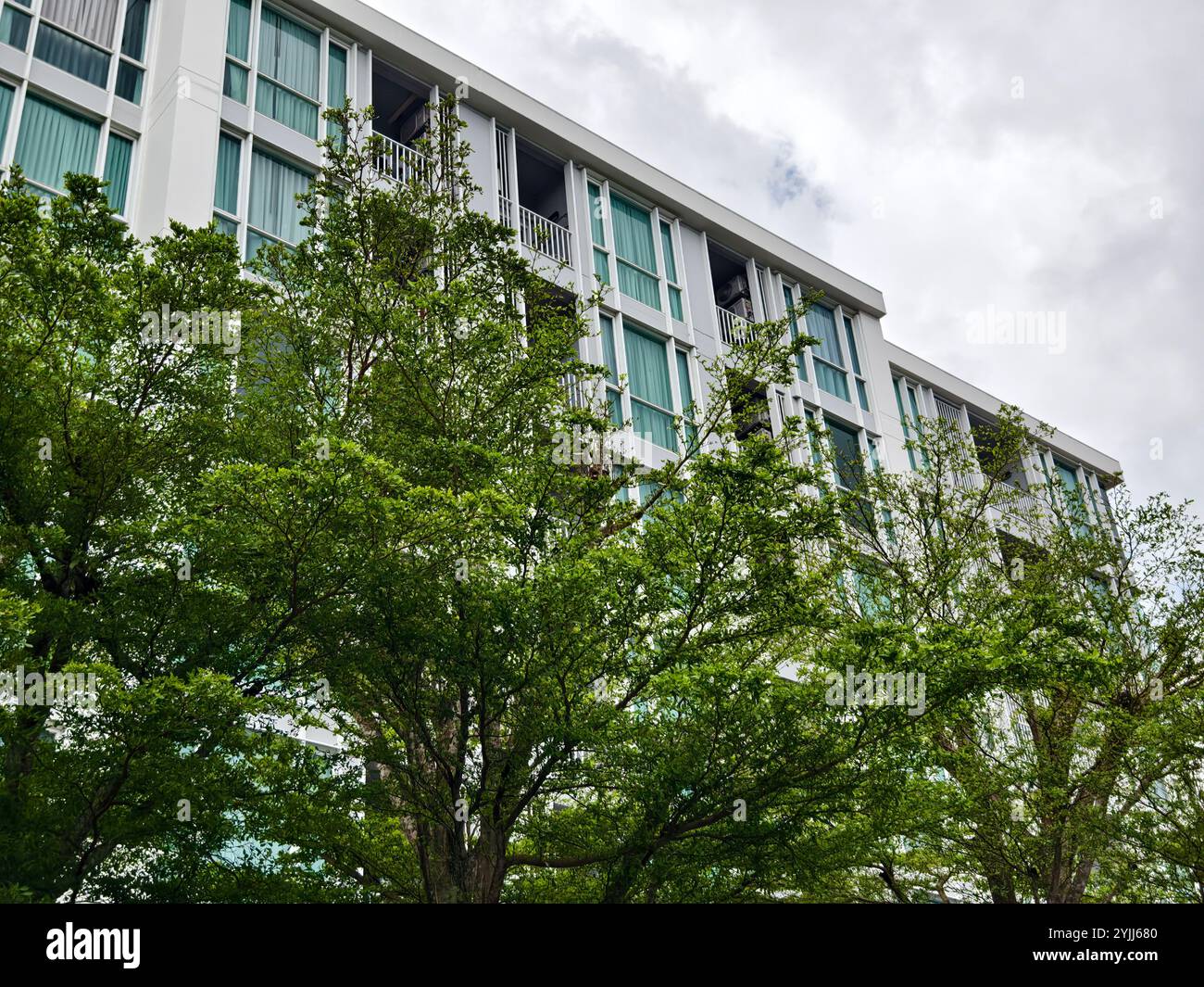 Detailed view of windows, doors and balconies of city buildings Stock ...