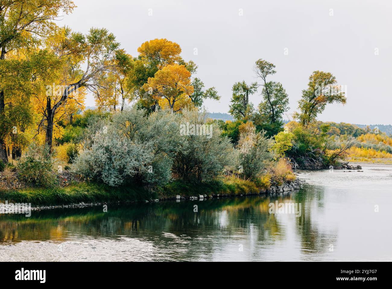 Yellowstone riverbank hi-res stock photography and images - Alamy