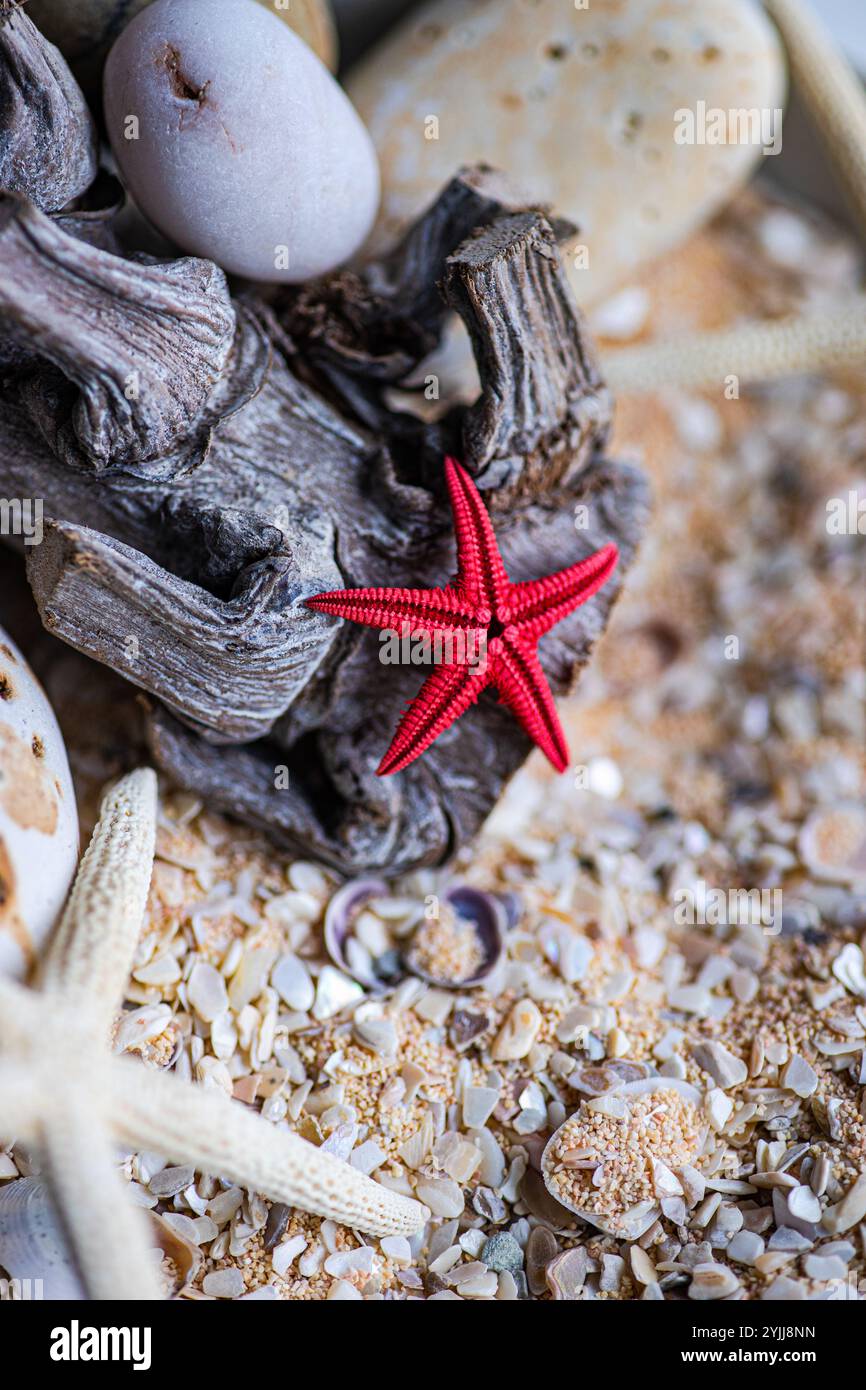 Sea or ocean recreation concept Stock Photo - Alamy