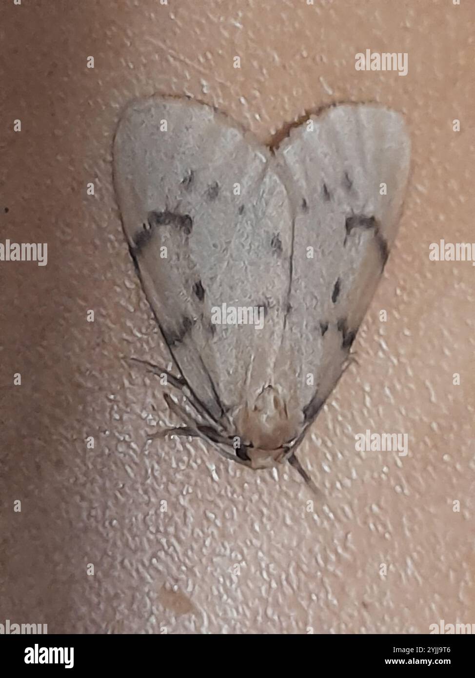 Paidia hi-res stock photography and images - Alamy