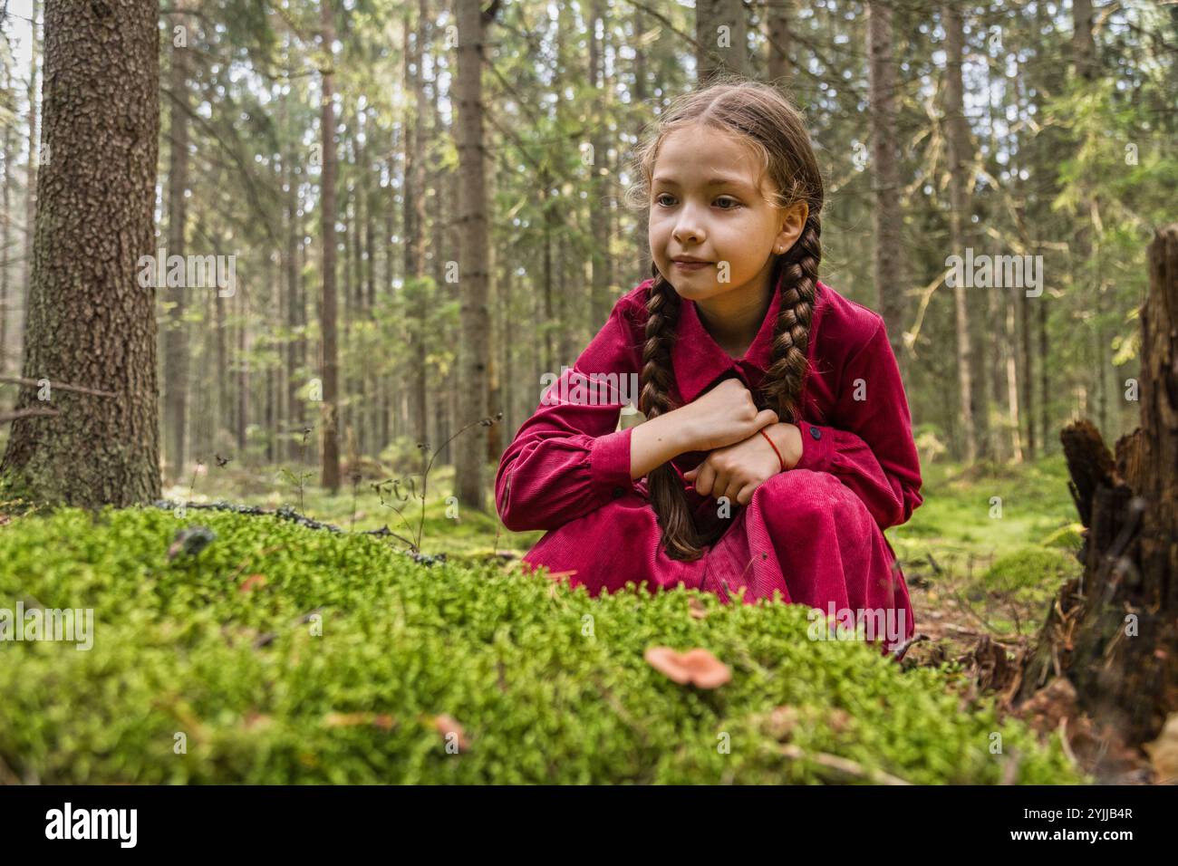 Little girl exploring moss and nature in forest Stock Photo - Alamy