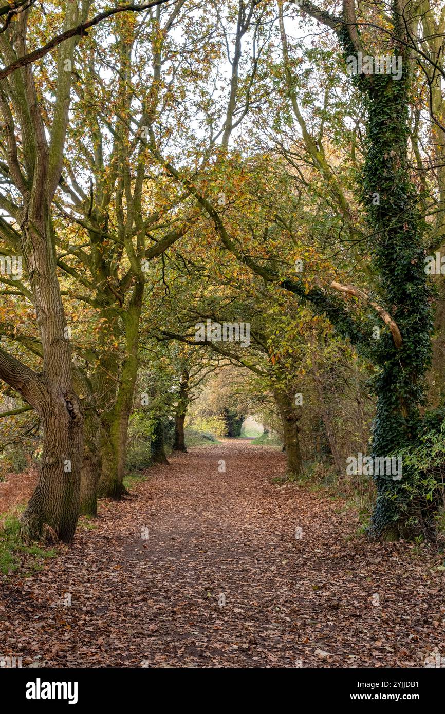 Wheelock railway trail hi-res stock photography and images - Alamy