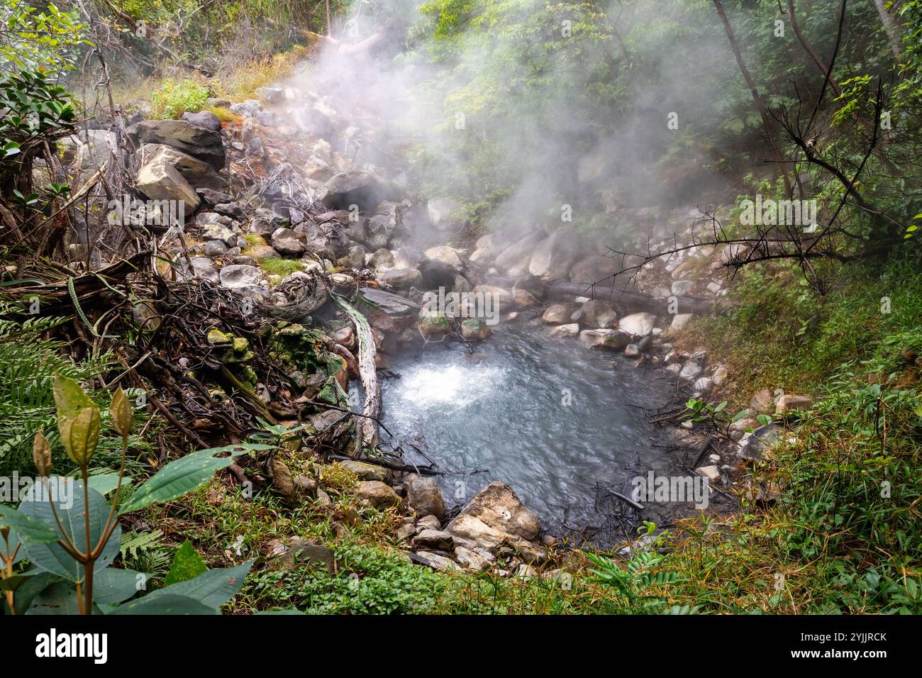 Geothermal activity fumaroles in Rincon de la Vieja National Park ...