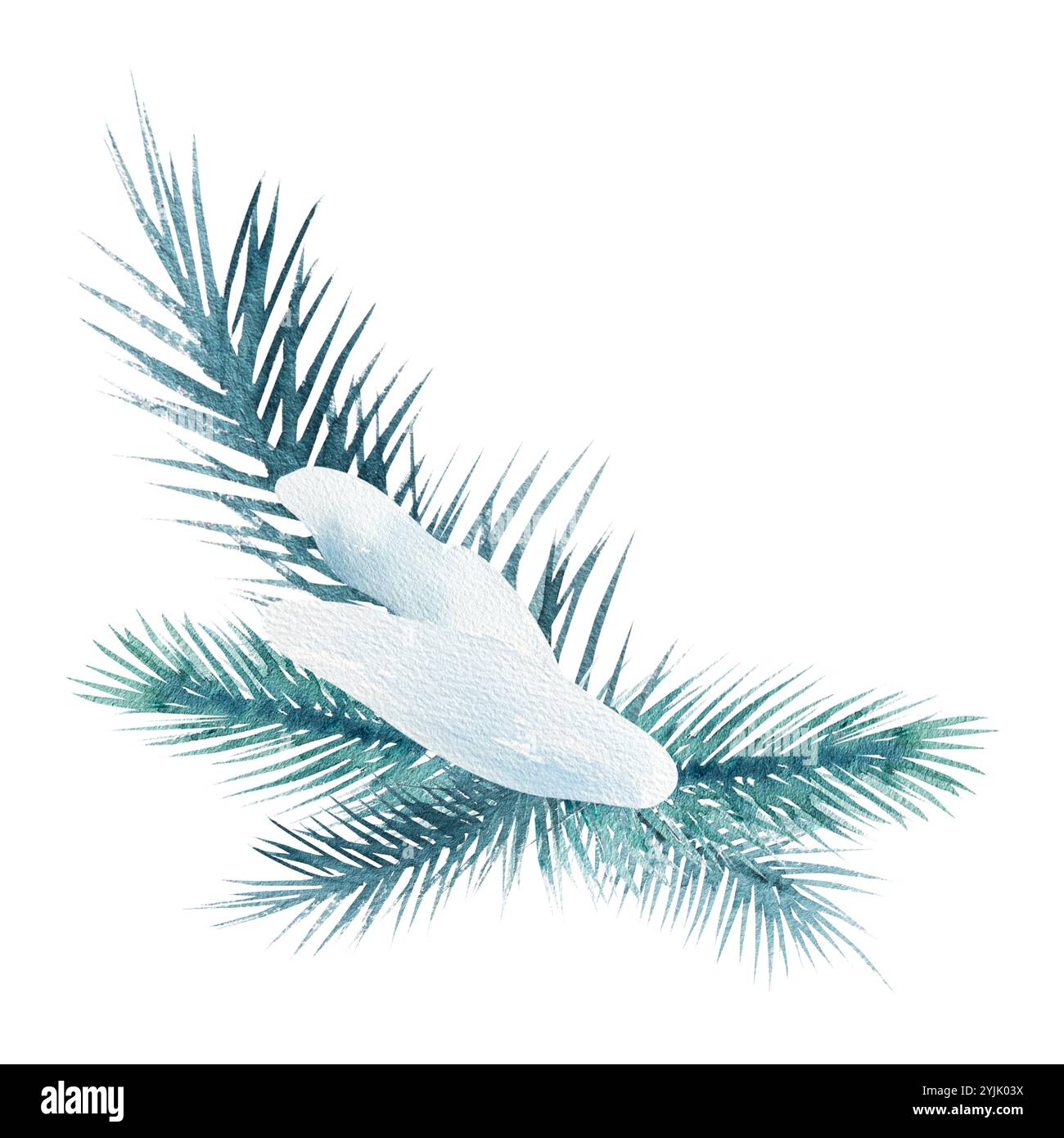 Fir tree branches with snow, watercolor illustration. Hand-made drawing ...