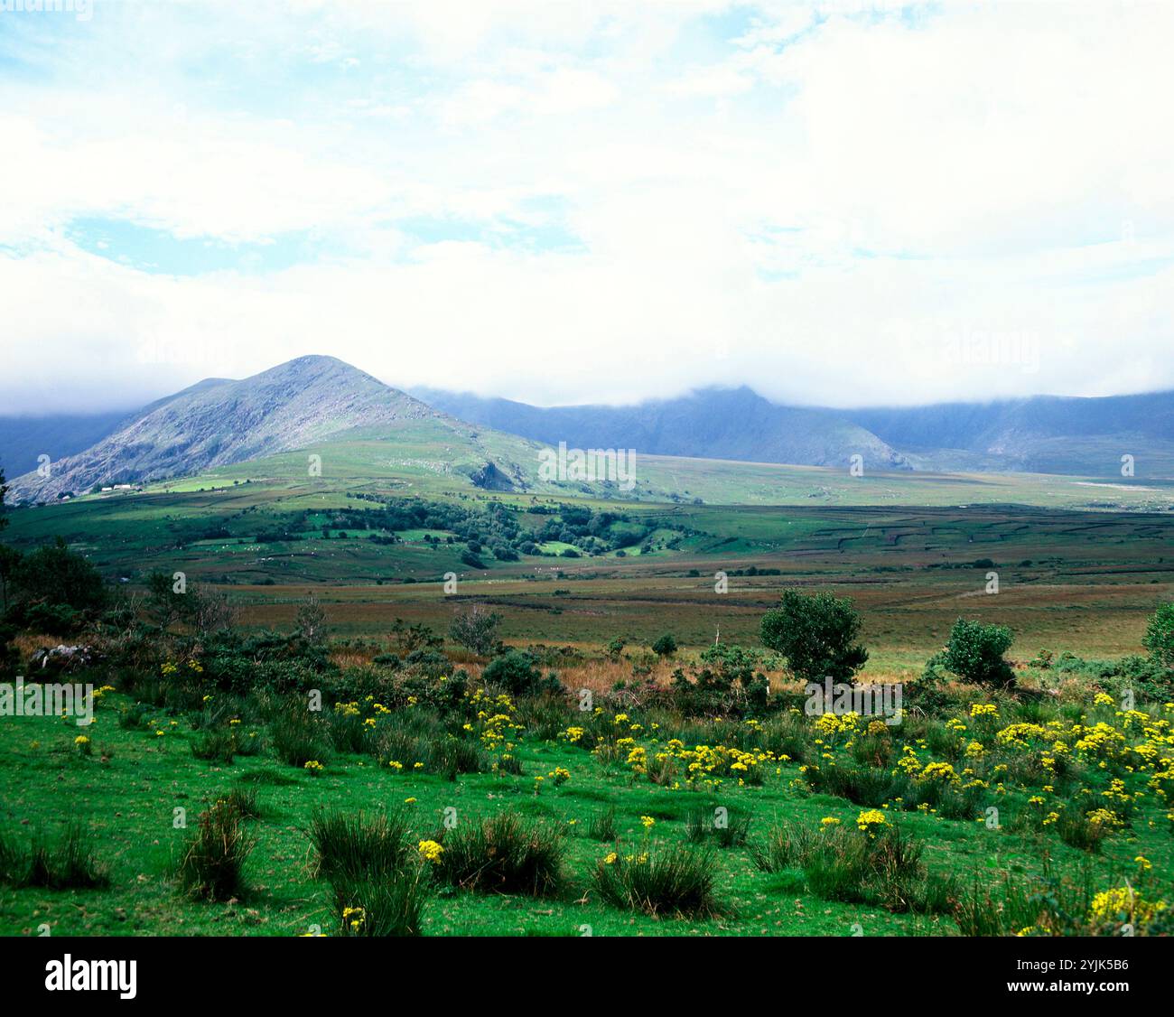 Ireland. County Kerry. View from near Glenbeigh, towards MacGillycuddy ...