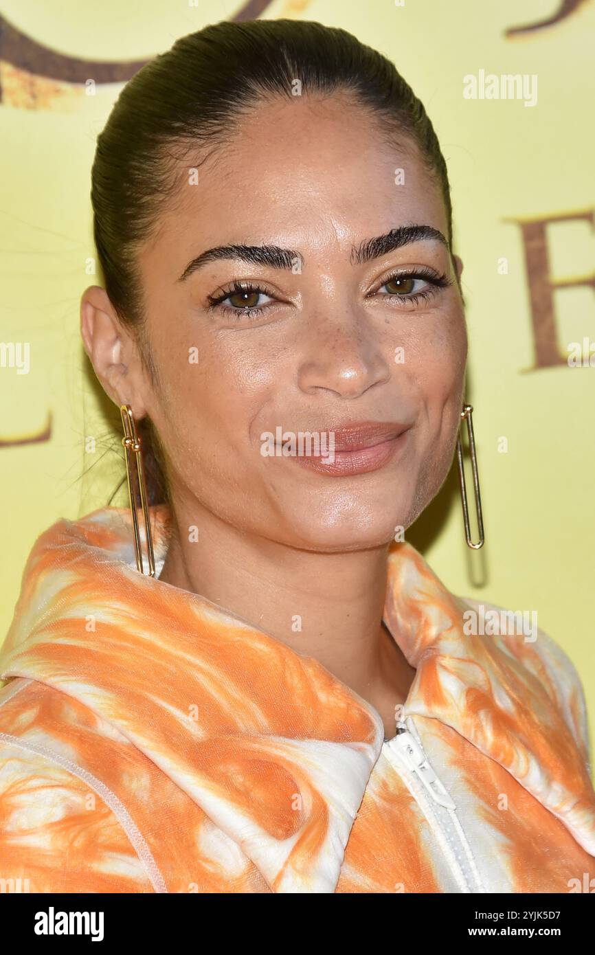 Mufasa the lion king 2024 hi-res stock photography and images - Alamy