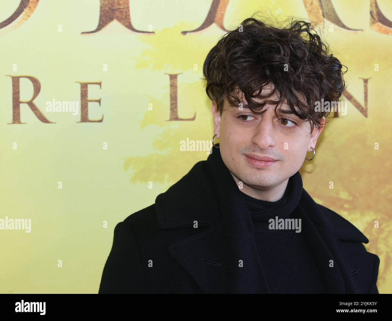 Rome, The Space Moderno cinema, photocall animated film "Mufasa - The ...