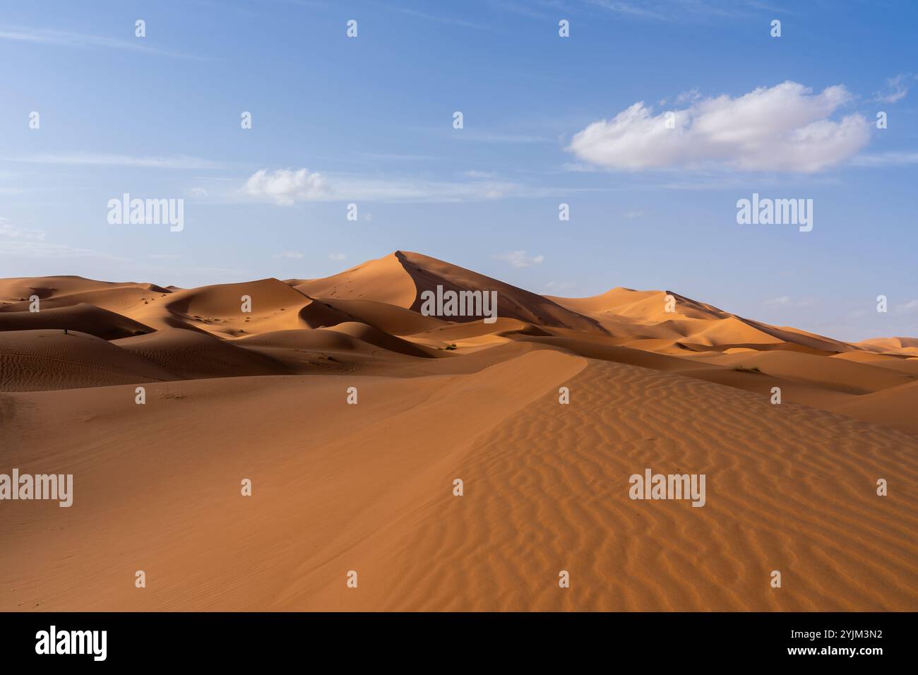 View of Sahara Desert in Morocco, Africa. The Sahara Desert is the ...