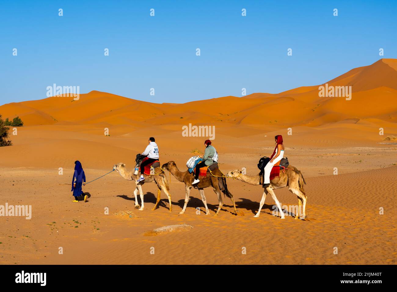 Tourists experiencing Camel Riding in the Sahara Desert in Morocco ...