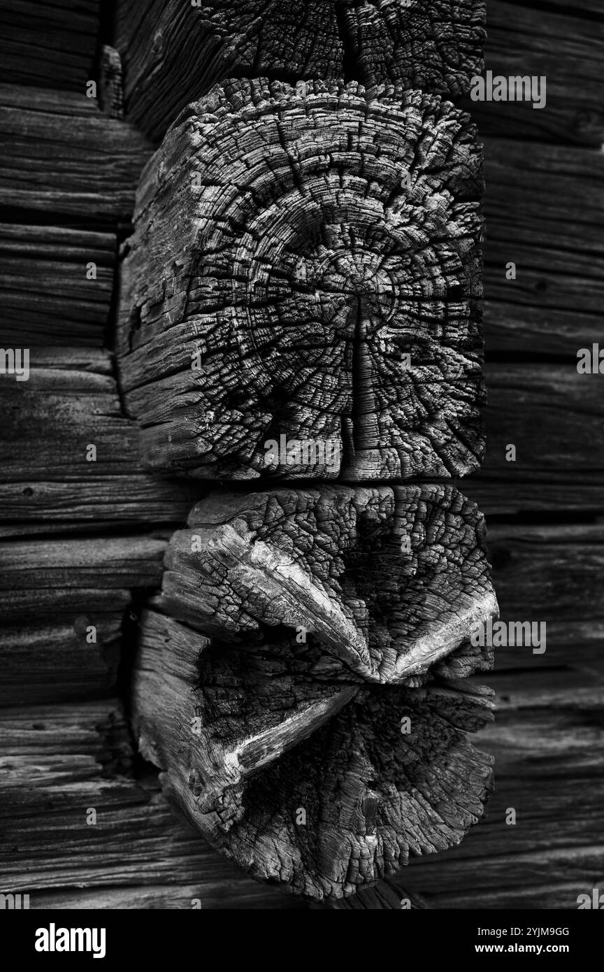 Old cracked wood visible details hi-res stock photography and images ...