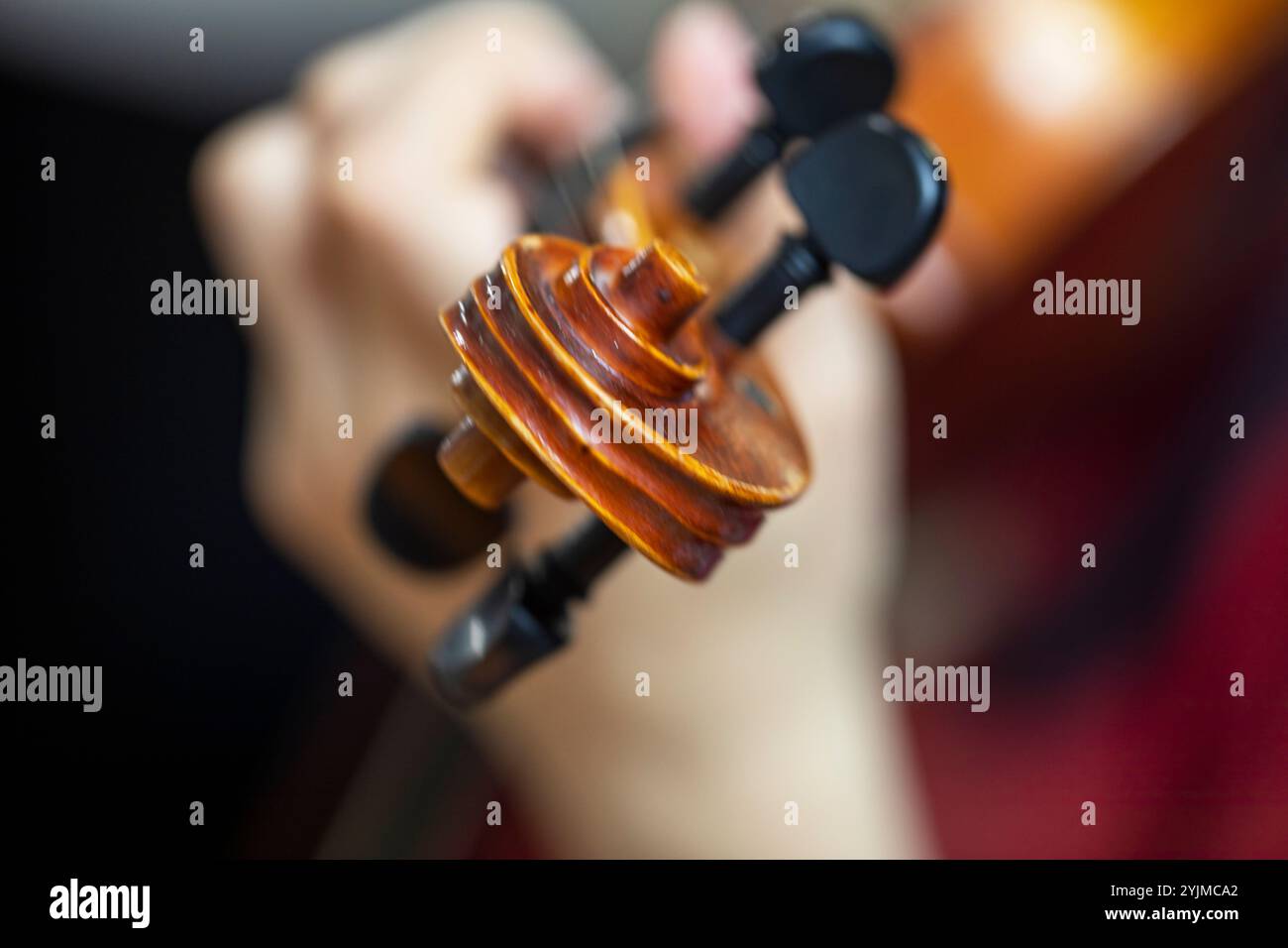 left hand position on the violin. Correct hand and finger position on a ...