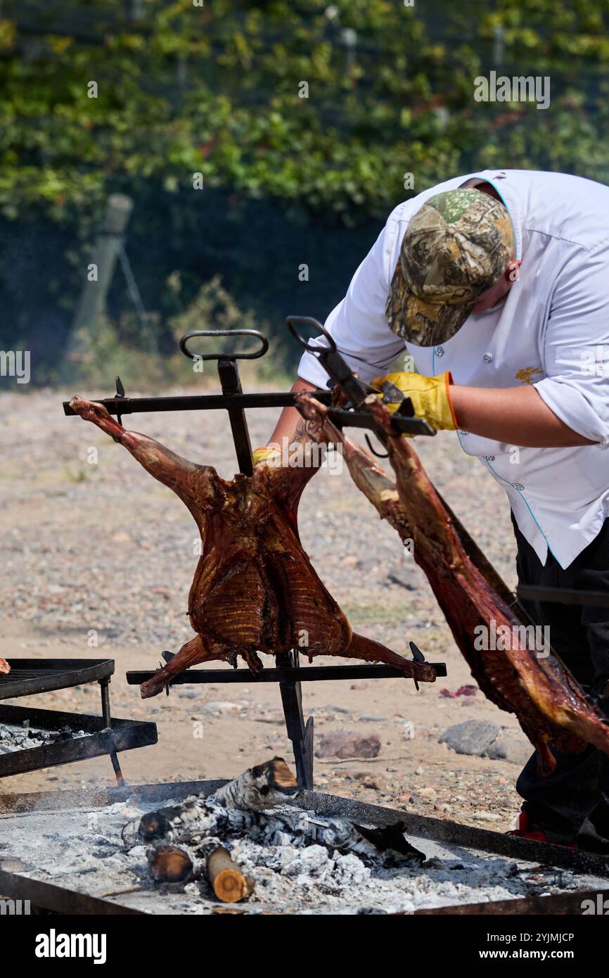Campo mendoza hi-res stock photography and images - Alamy