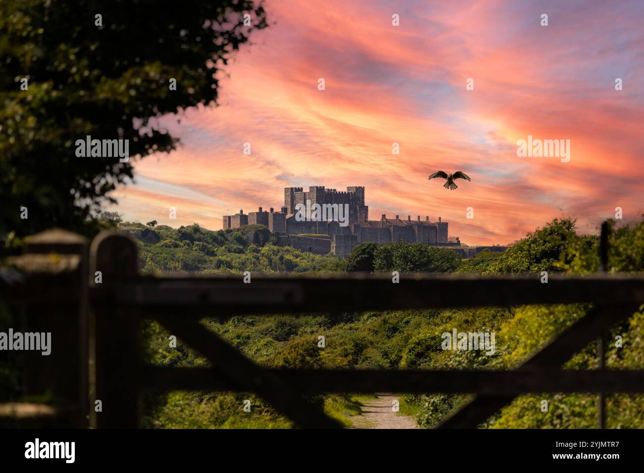 A view of sunset Dover Castle from the White Cliffs of Dover in Kent ...