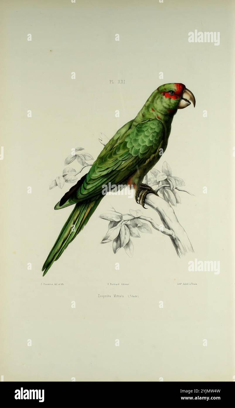 Subject captures hi-res stock photography and images - Alamy