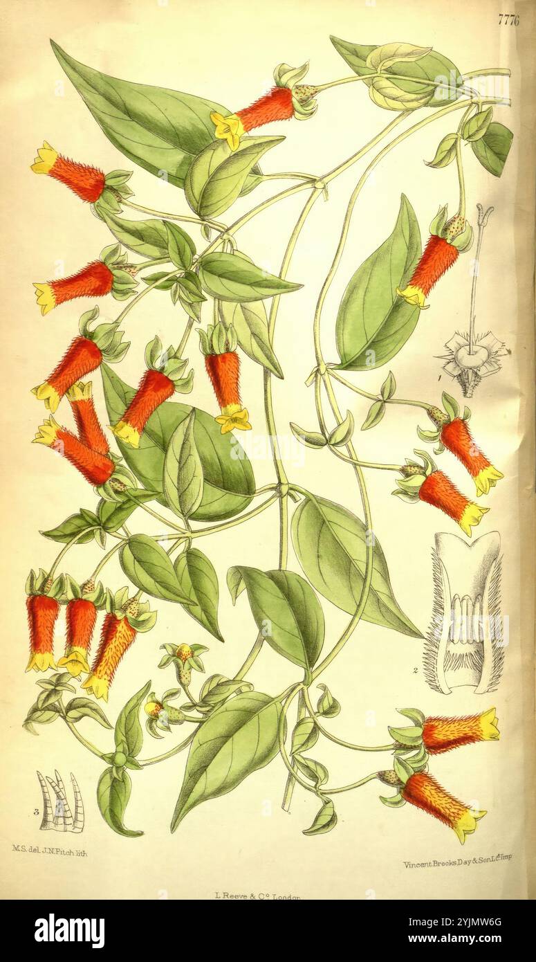 Featuring cross sections hi-res stock photography and images - Alamy