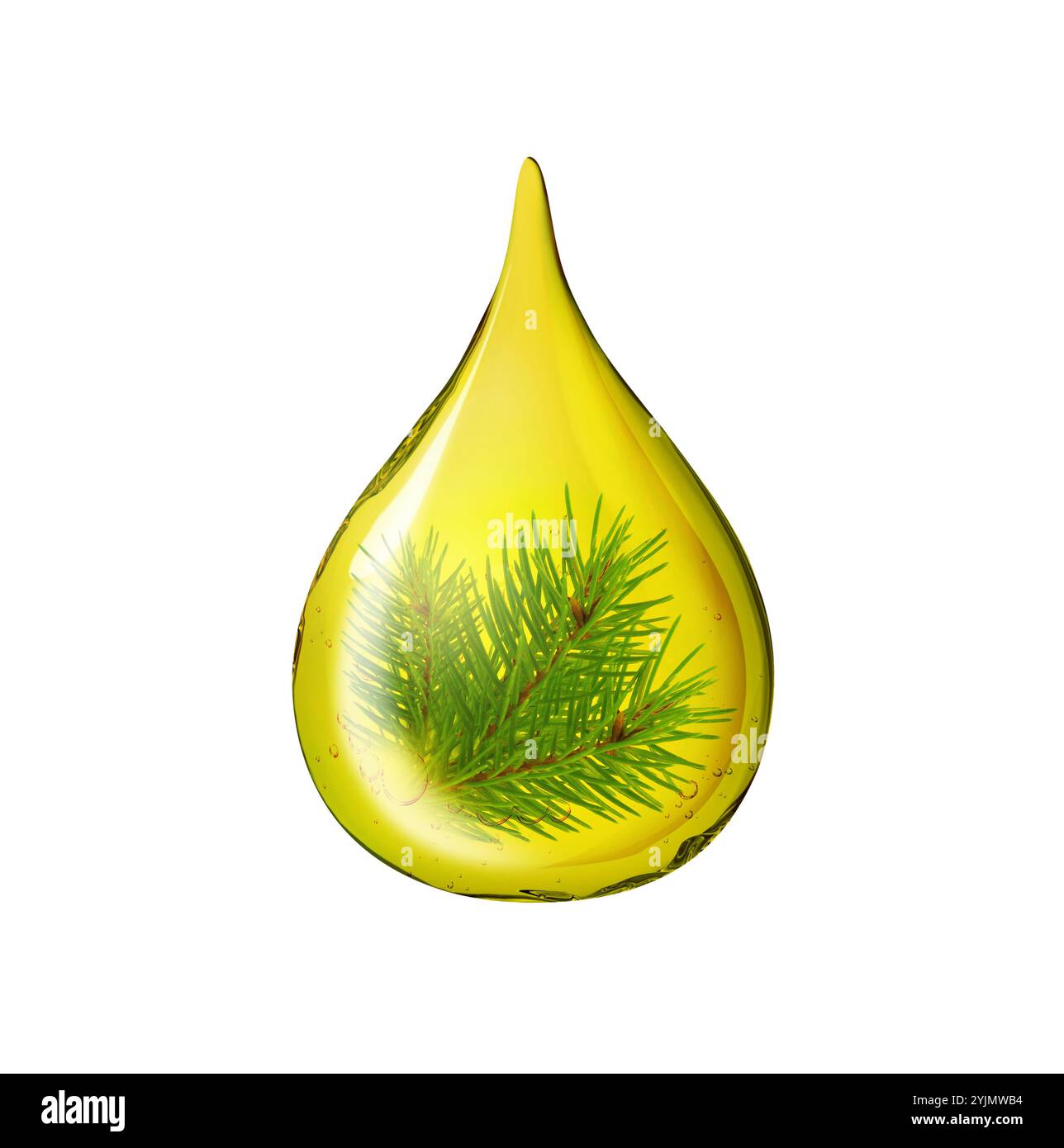 Conifer essential oil drop hi-res stock photography and images - Alamy