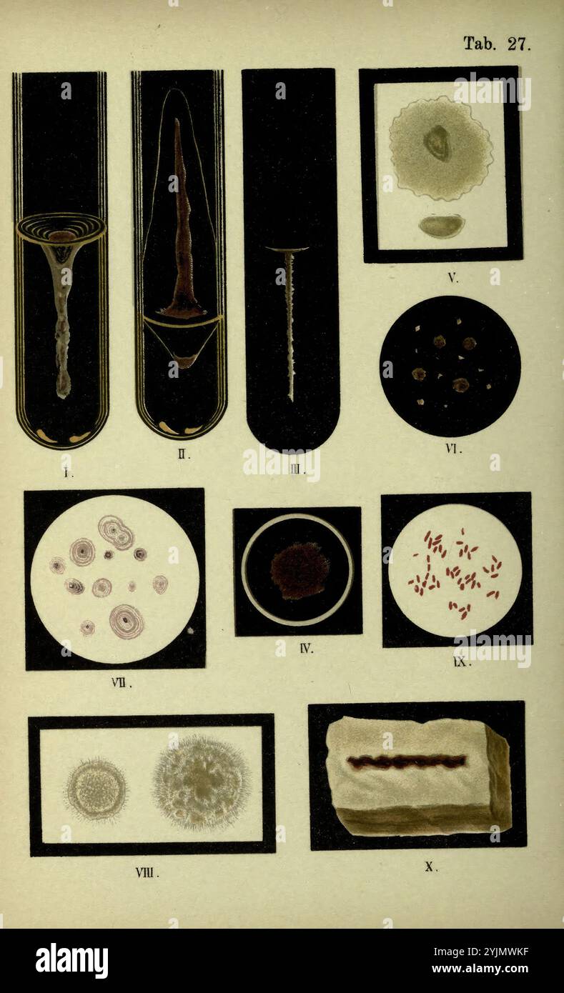 A collection of various scientific illustrations showcasing ...