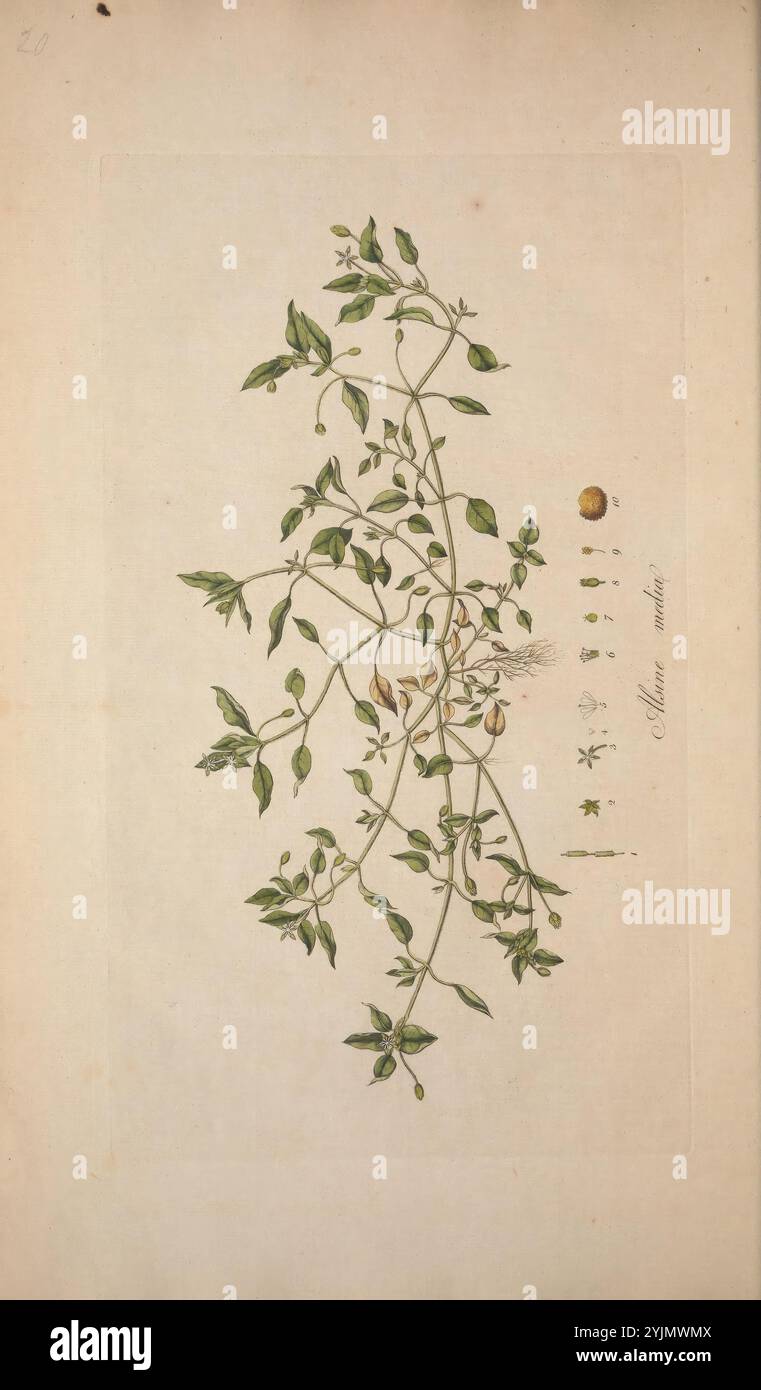 Sprawling arrangements hi-res stock photography and images - Alamy