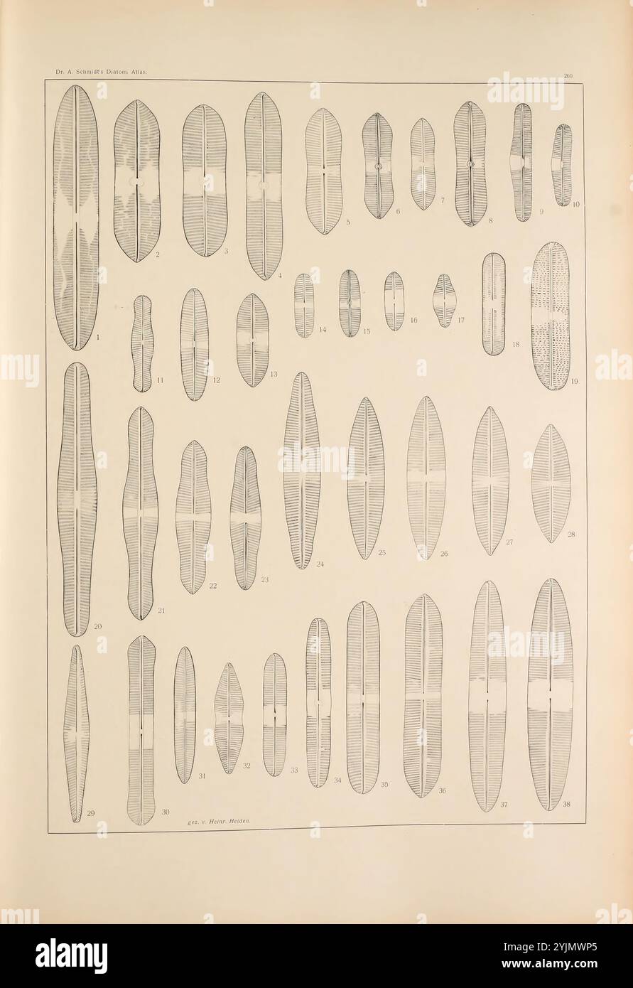 Systematic layout reflects hi-res stock photography and images - Alamy