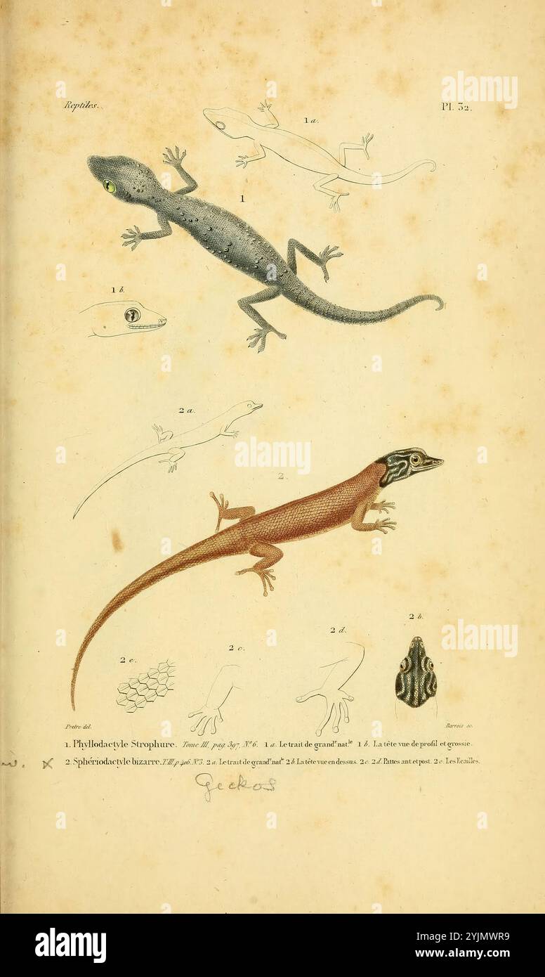 Showcasing shades of gray hi-res stock photography and images - Alamy