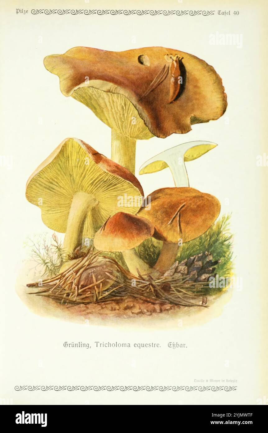 Subtle ridges hi-res stock photography and images - Alamy