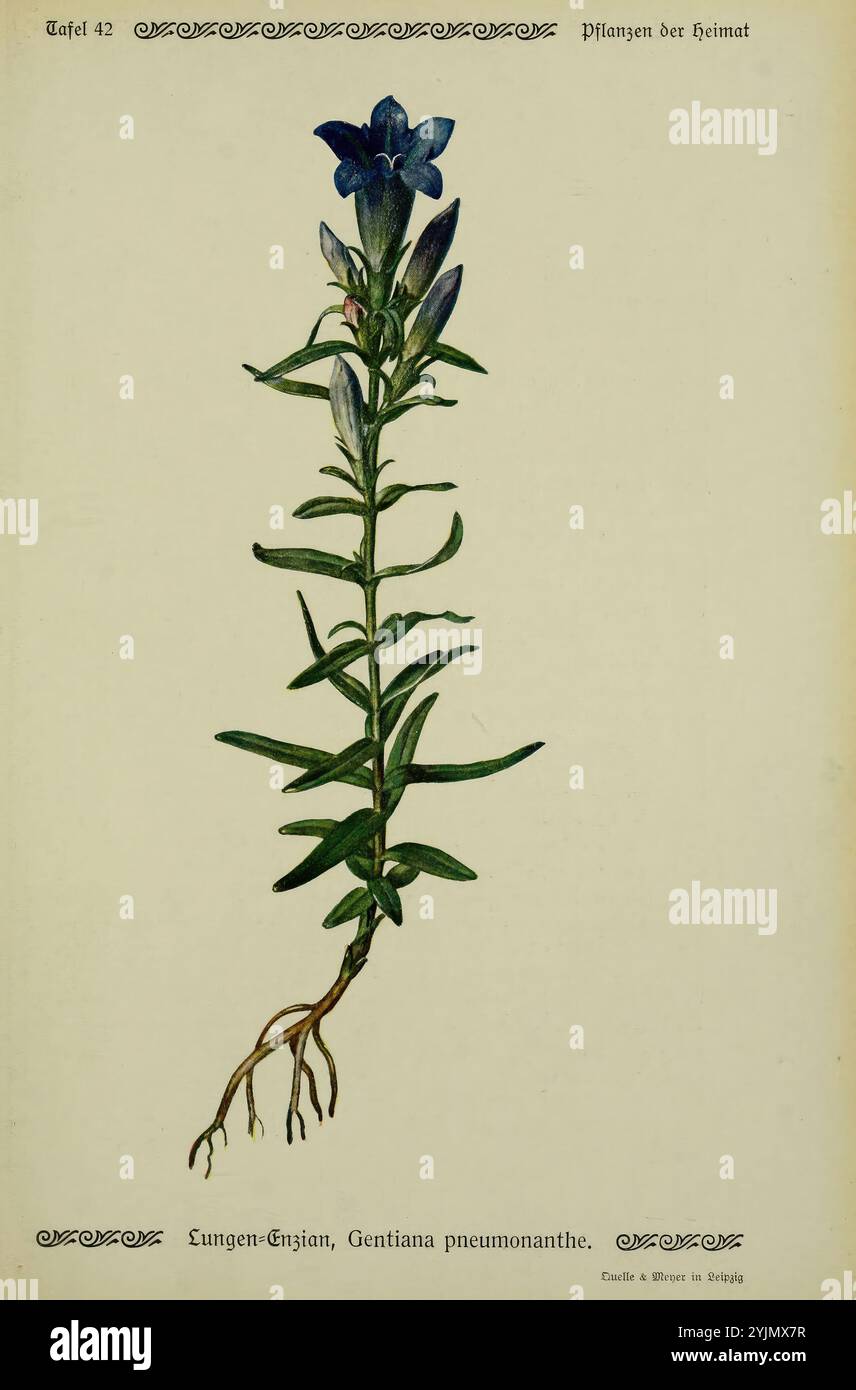 Label beneath identifies hi-res stock photography and images - Alamy