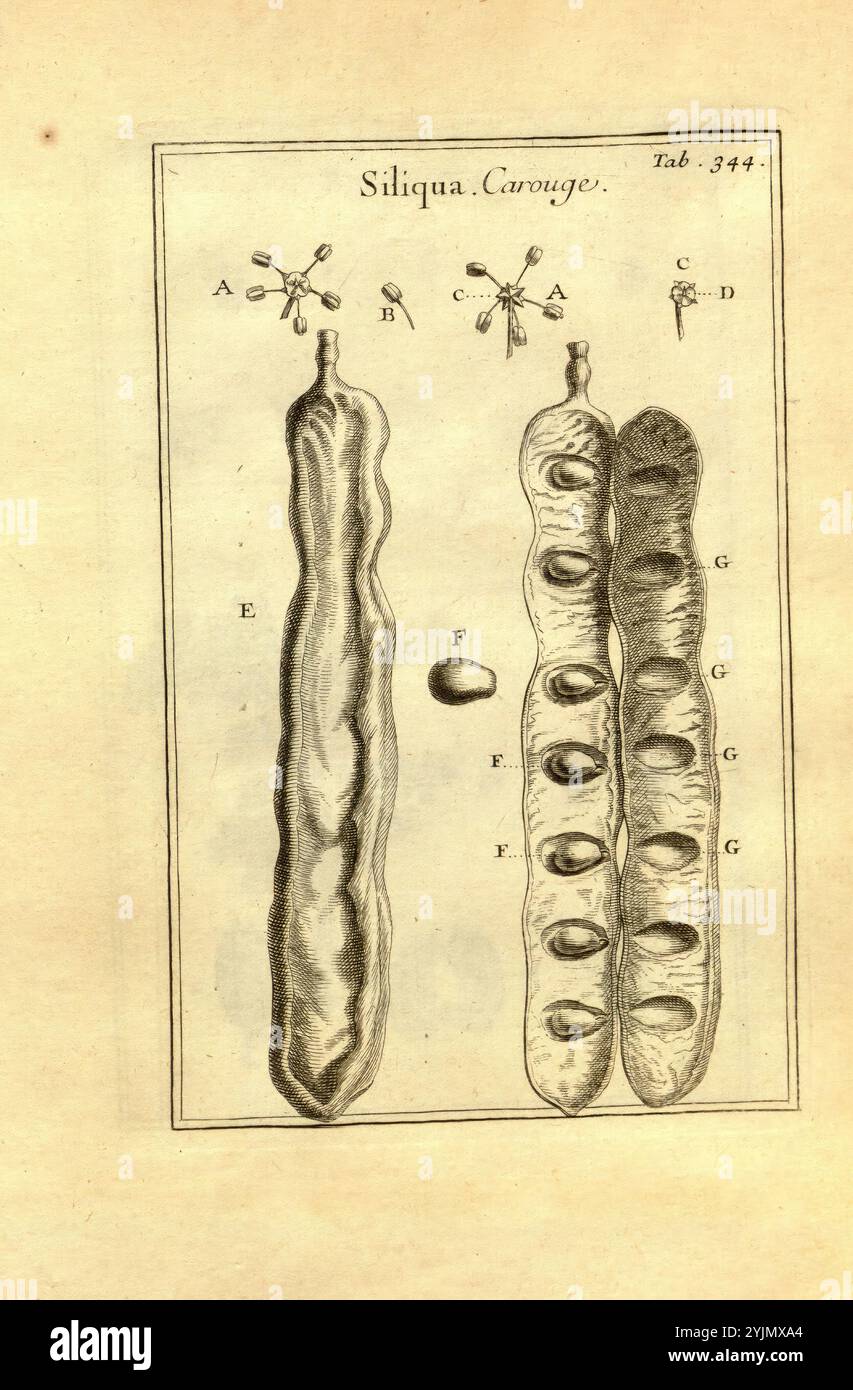 Two distinct scientific diagrams hi-res stock photography and images ...