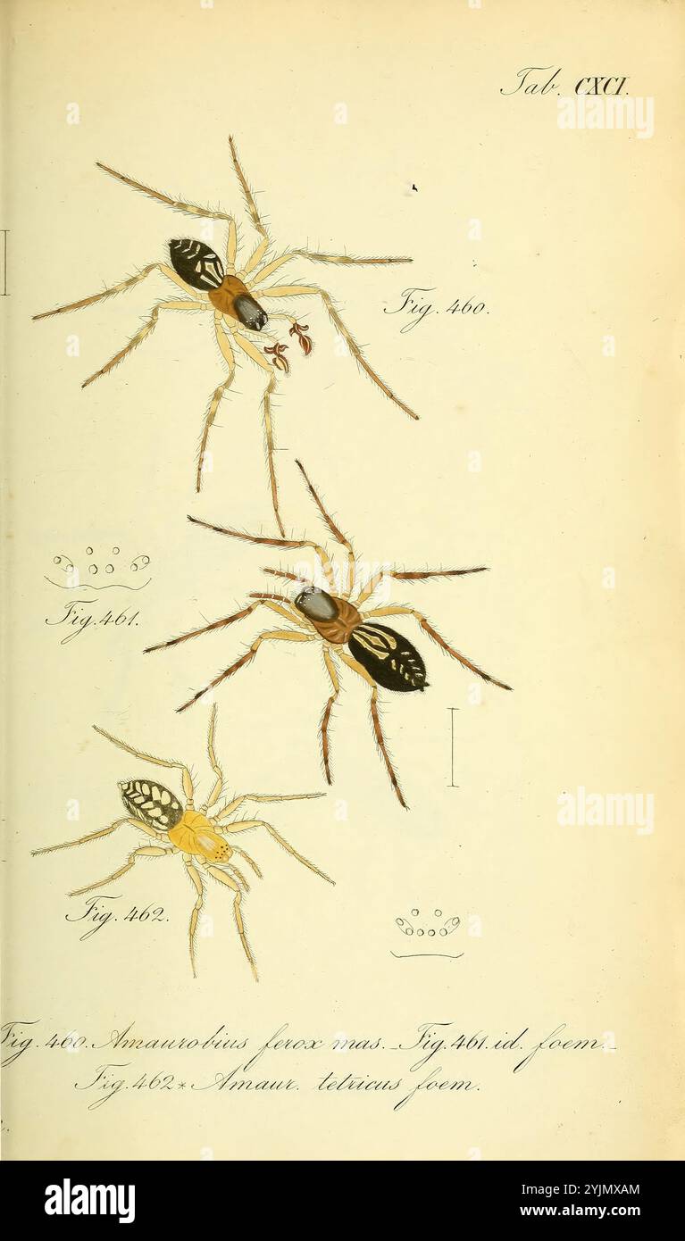 Meticulous detail provide hi-res stock photography and images - Alamy