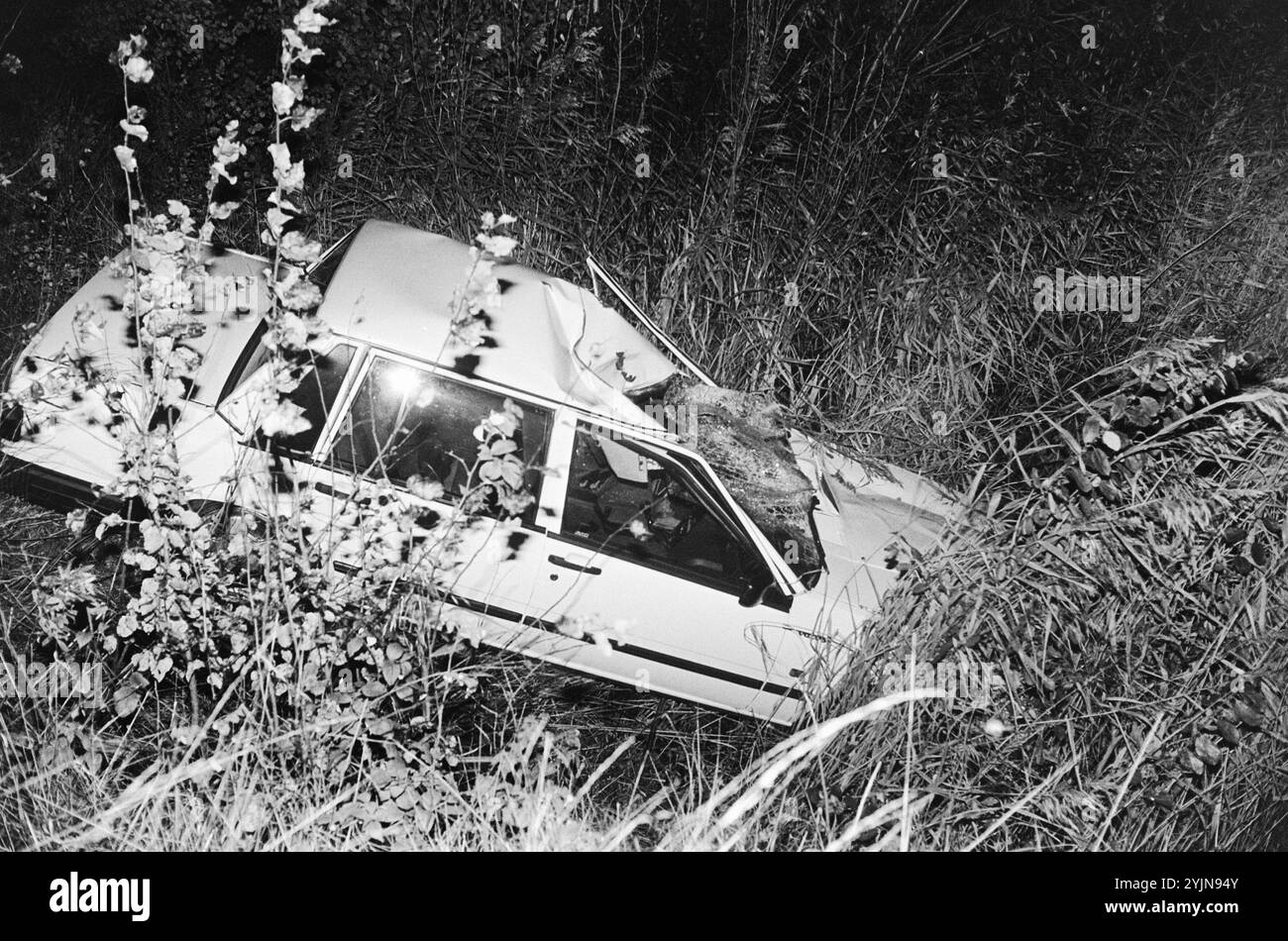 A traffic accident, after a car hit a moose, Skänninge, Sweden Stock ...
