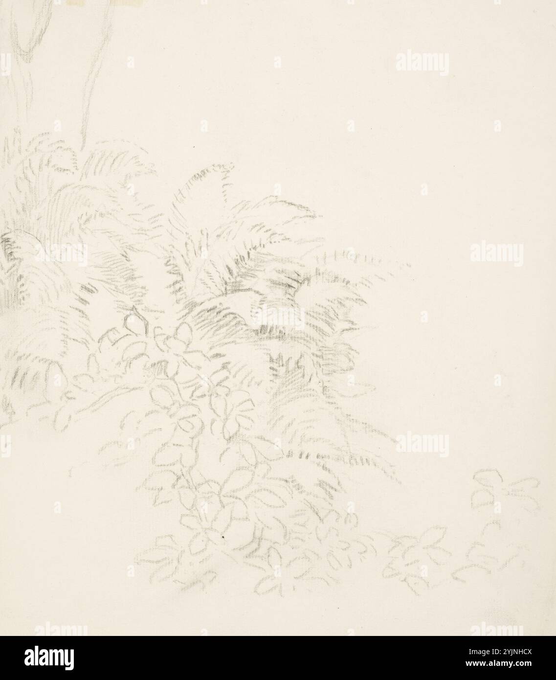 Enckell, Magnus, work, Sananjalkoja, drawing, 27 cm x 22.7 cm, Knut ...