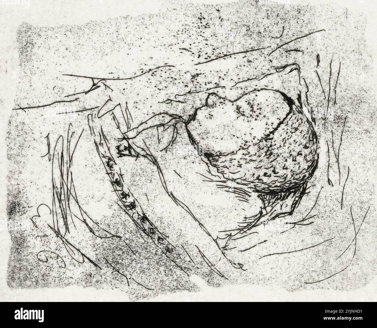 Printmaker juho karjalainen hi-res stock photography and images - Alamy