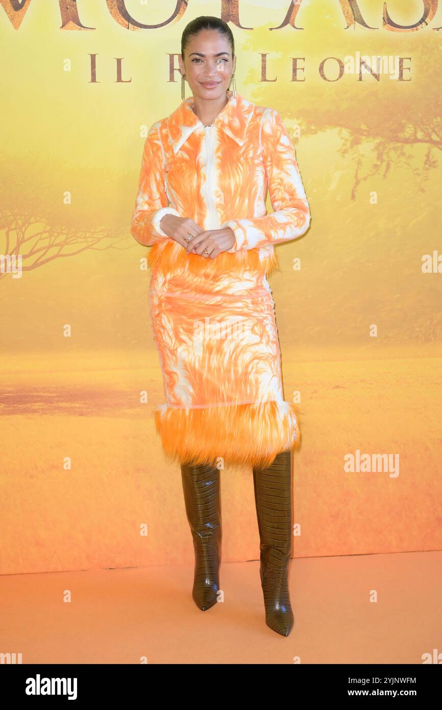 Disney il re leone hi-res stock photography and images - Alamy