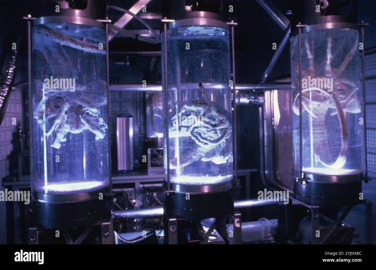 ALIENS 1986 20th Century Fox sci-fi horror film Stock Photo - Alamy