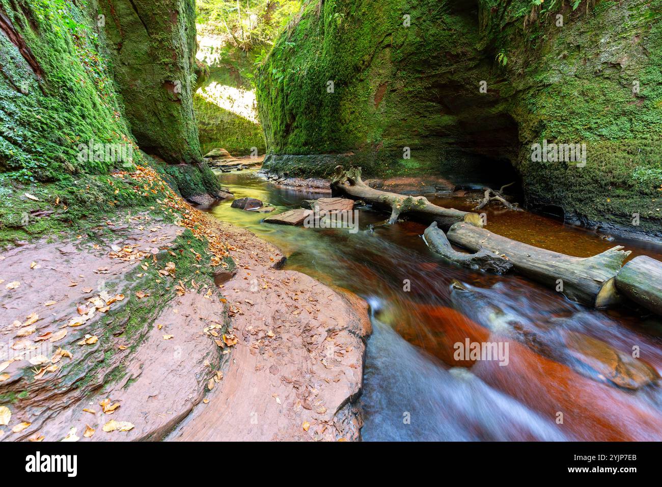 The Devils Pulpit in Finnich Glen, a hidden away deep ravine in ...