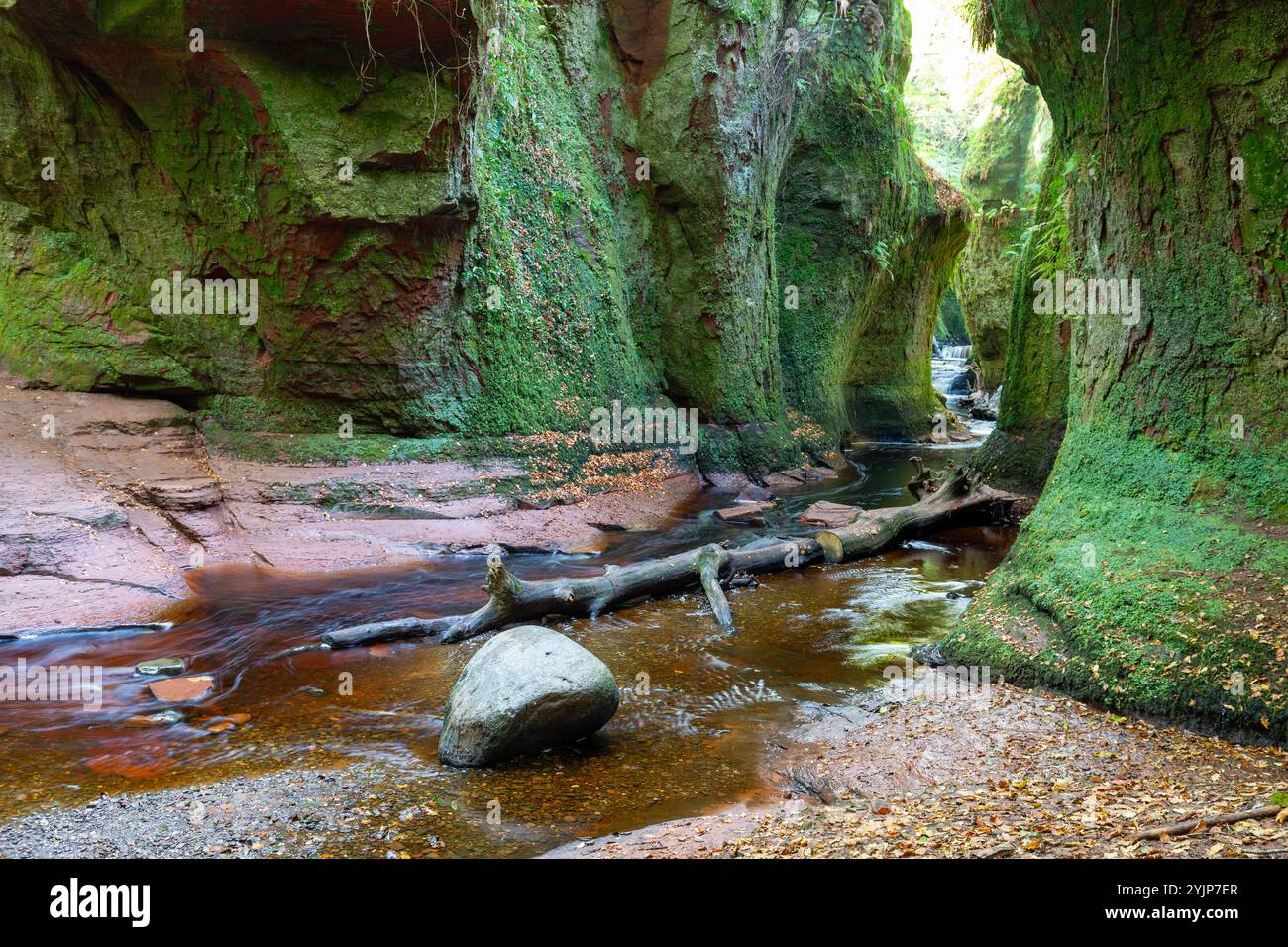 The Devils Pulpit in Finnich Glen, a hidden away deep ravine in ...