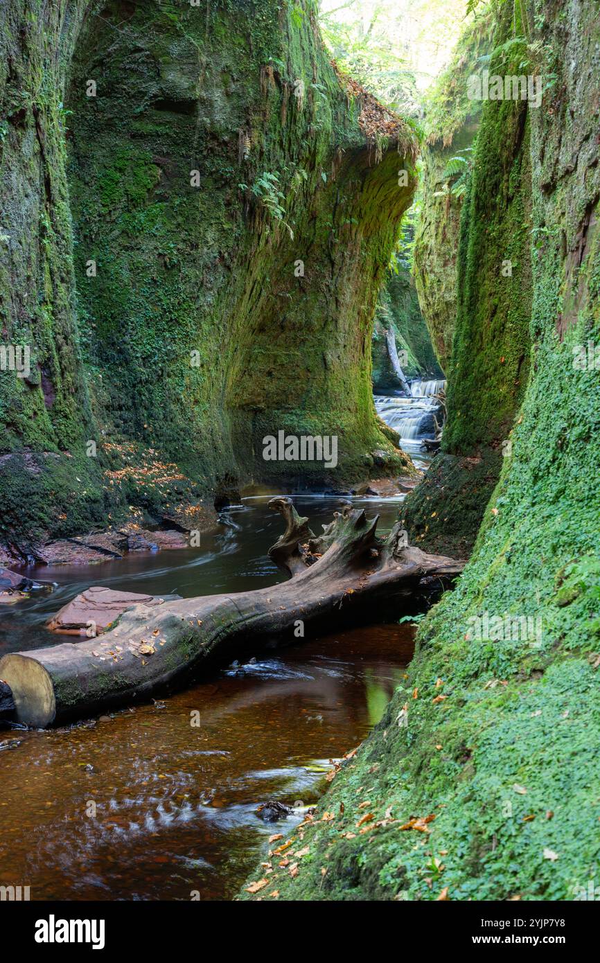 The Devils Pulpit in Finnich Glen, a hidden away deep ravine in ...
