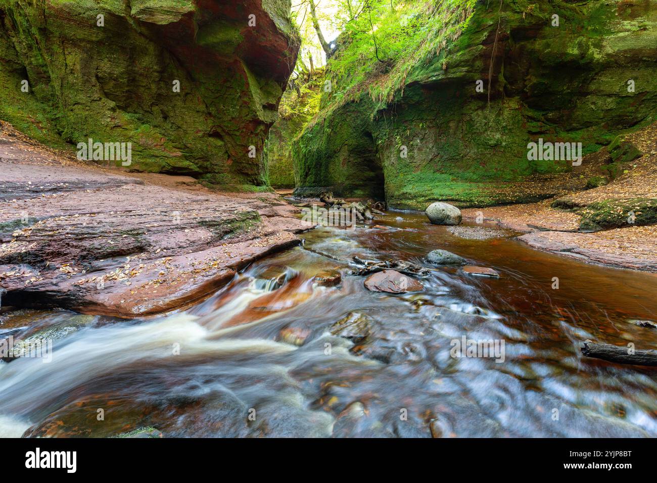 The Devils Pulpit in Finnich Glen, a hidden away deep ravine in ...