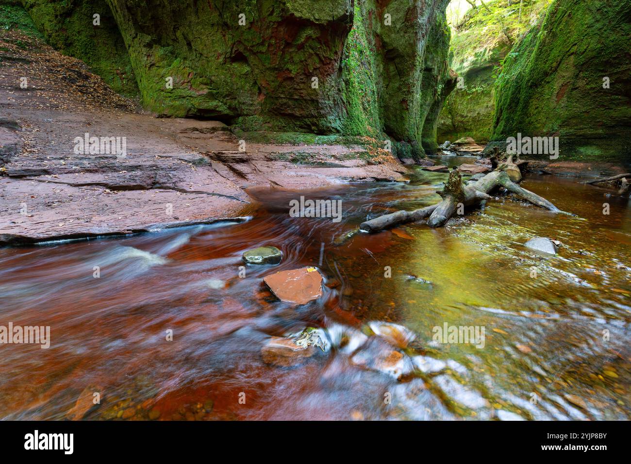 The Devils Pulpit in Finnich Glen, a hidden away deep ravine in ...