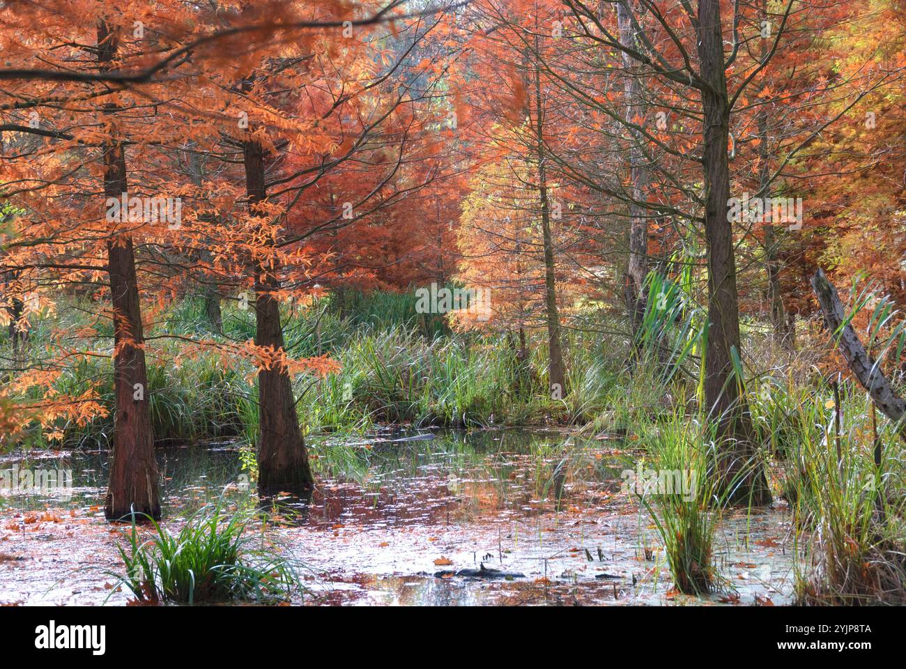 Environmental value hi-res stock photography and images - Alamy