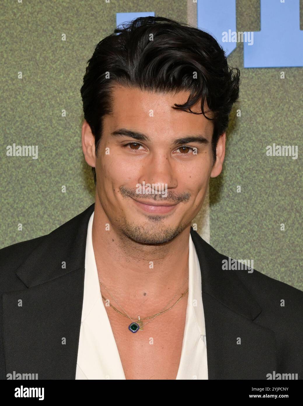 West Hollywood, California, USA. 14th Nov, 2024. Drew Ray Tanner ...