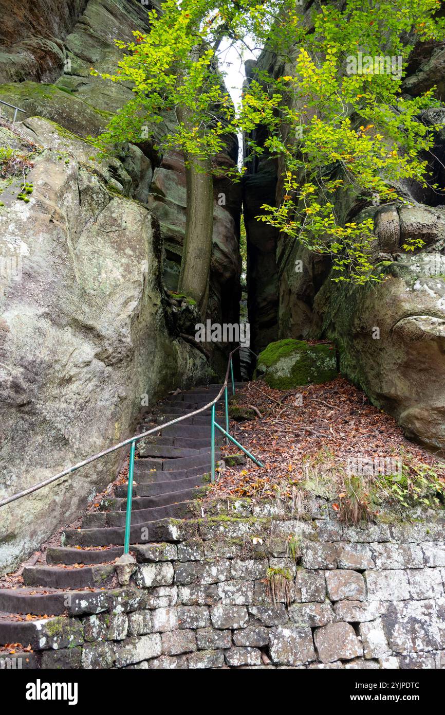 Scenic nature diversity of Mullerthal, Luxembourg's Little Switzerland ...