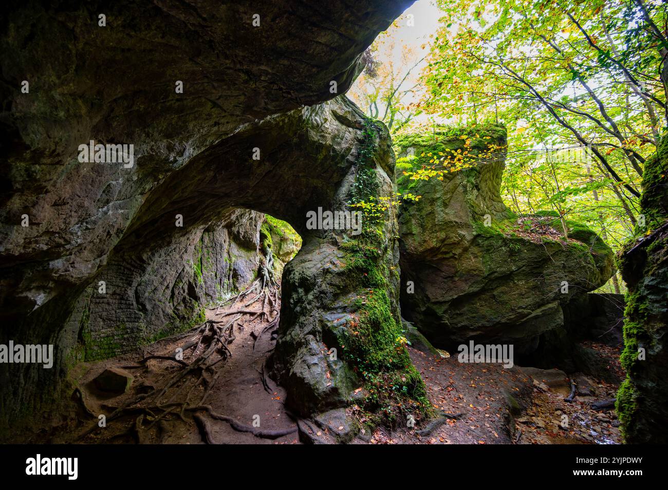 Scenic nature diversity of Mullerthal, Luxembourg's Little Switzerland ...