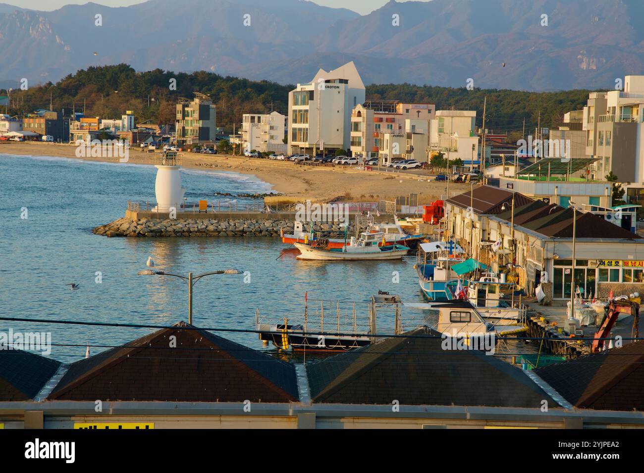 Goseong County, South Korea - November 3, 2024: A detailed view of Muam ...