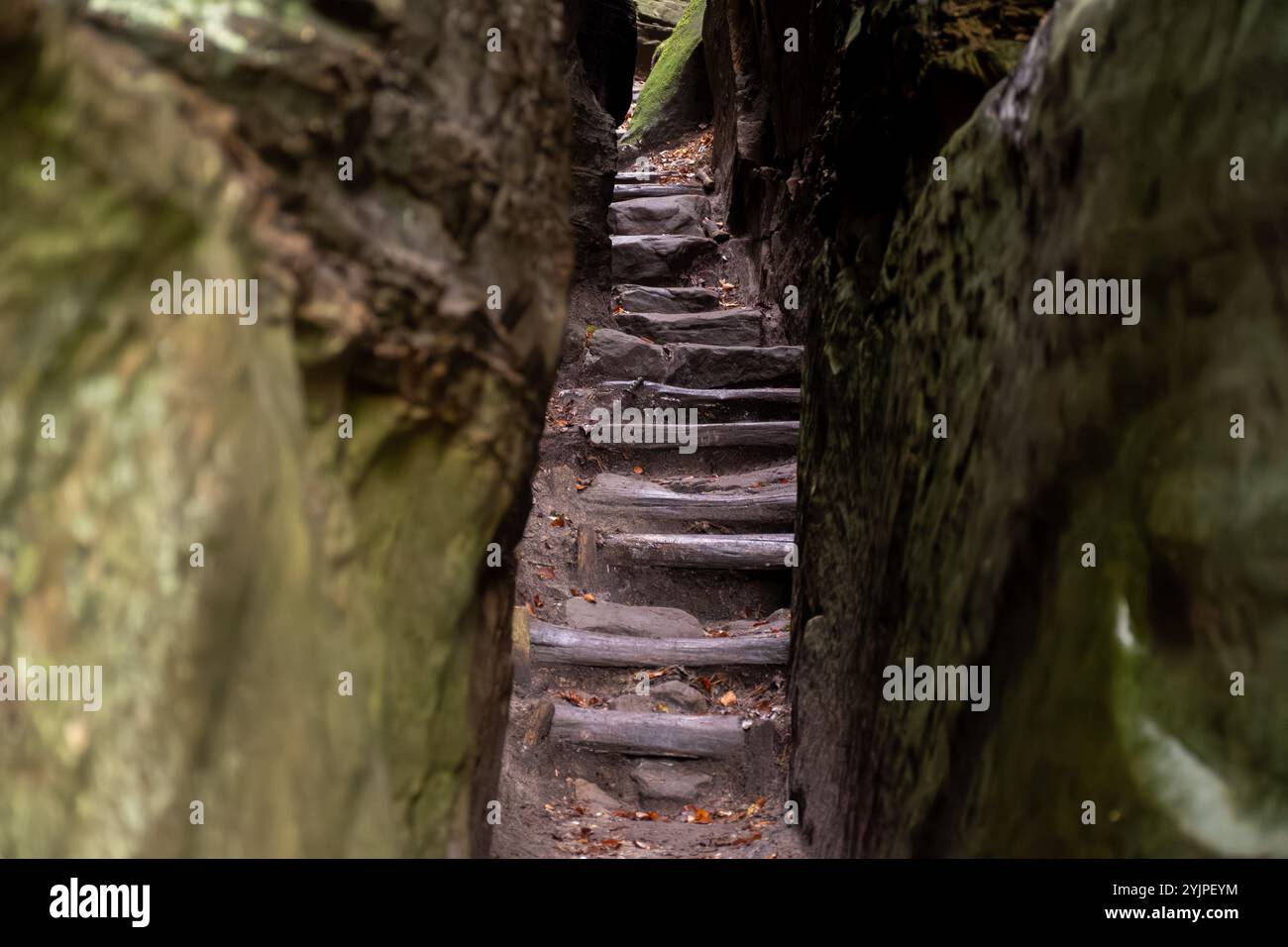 Scenic nature diversity of Mullerthal, Luxembourg's Little Switzerland ...