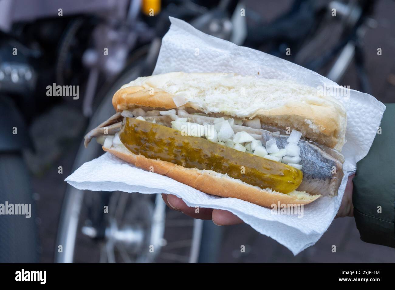 New season of Dutch herring fresh salted fish ready to eat, traditional ...